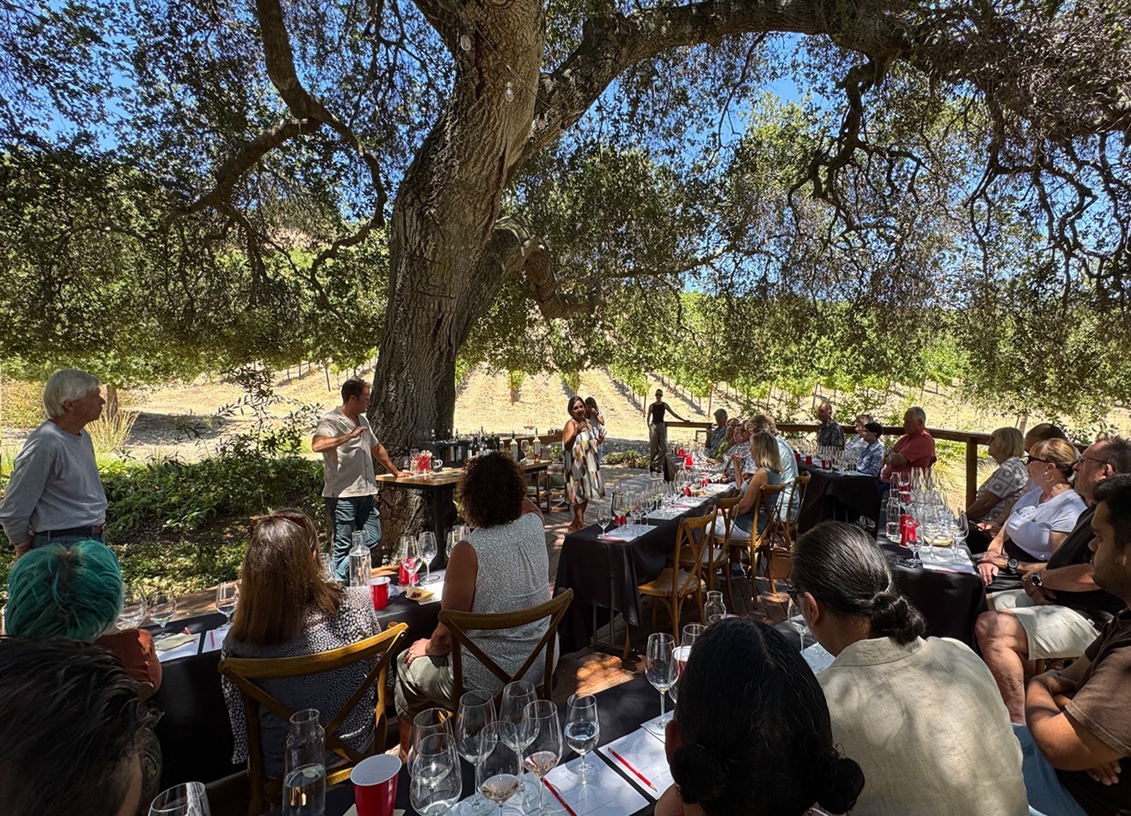 Full Circle In White: Sixmilebridge + LXV Wine